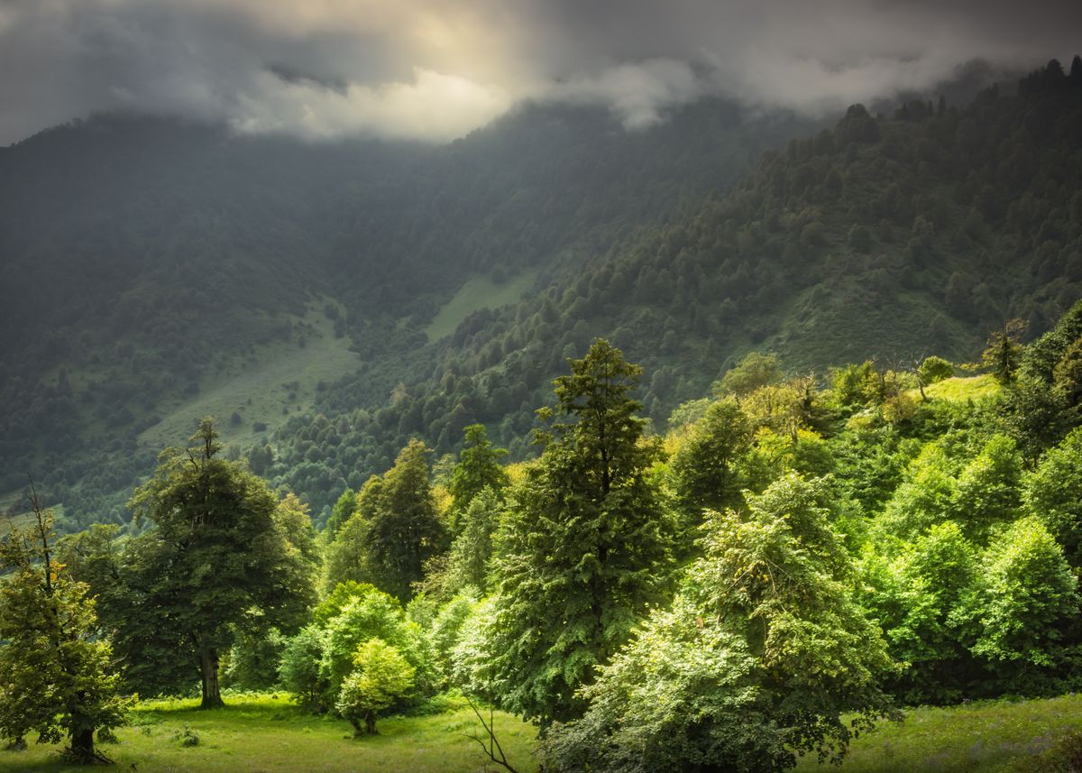 'Georgia Landscape' Poster by Svetlana Sewell | Displate