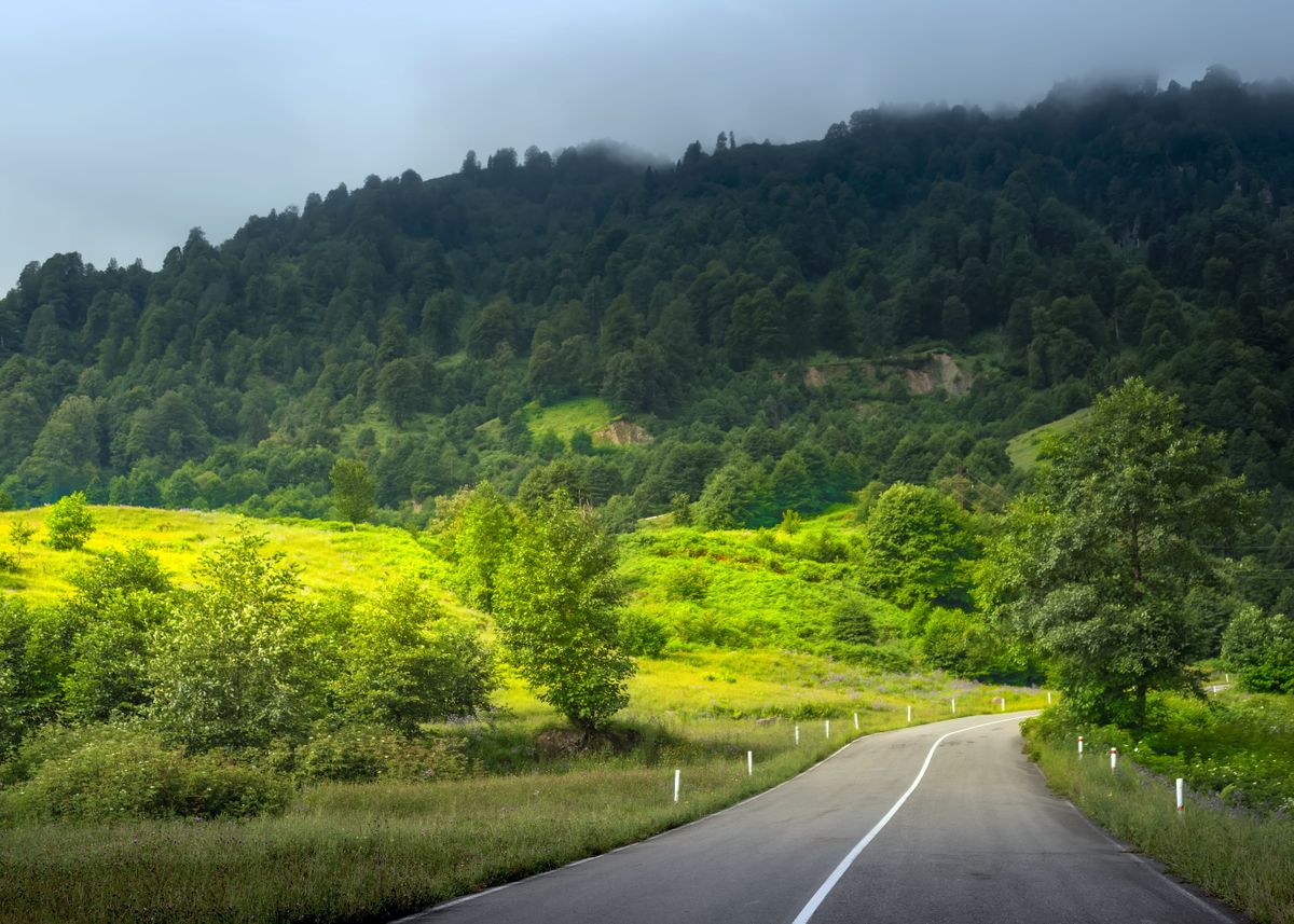 'Pretty Road' Poster by Svetlana Sewell | Displate