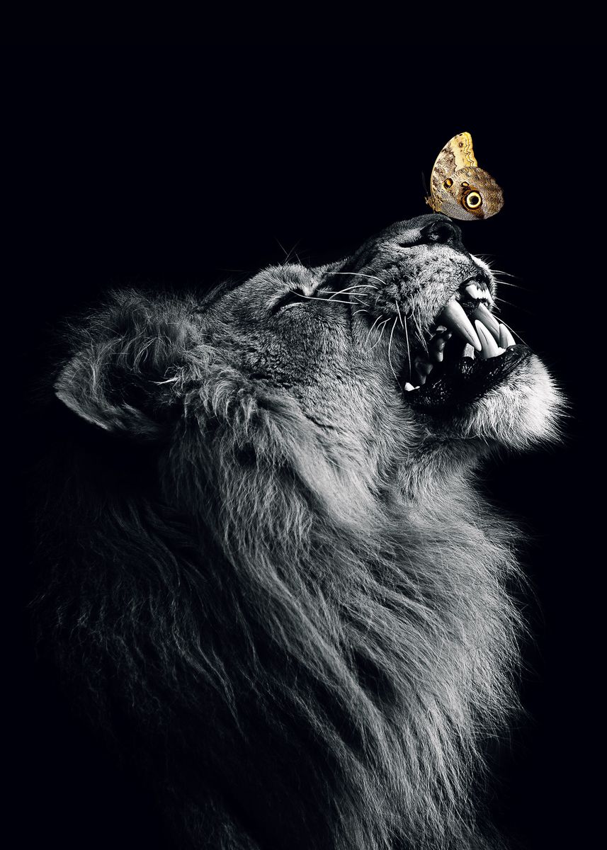 'Lion with butterfly poster' Poster by MK studio | Displate