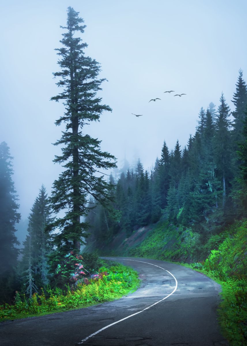 'Country Road' Poster, picture, metal print, paint by Svetlana Sewell ...