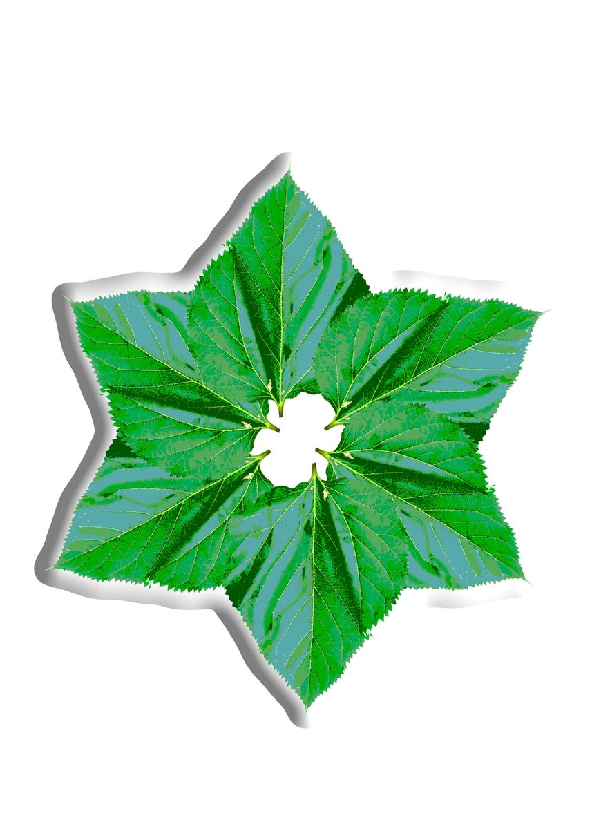'Green Leaf star' Poster, picture, metal print, paint by Archist Design ...