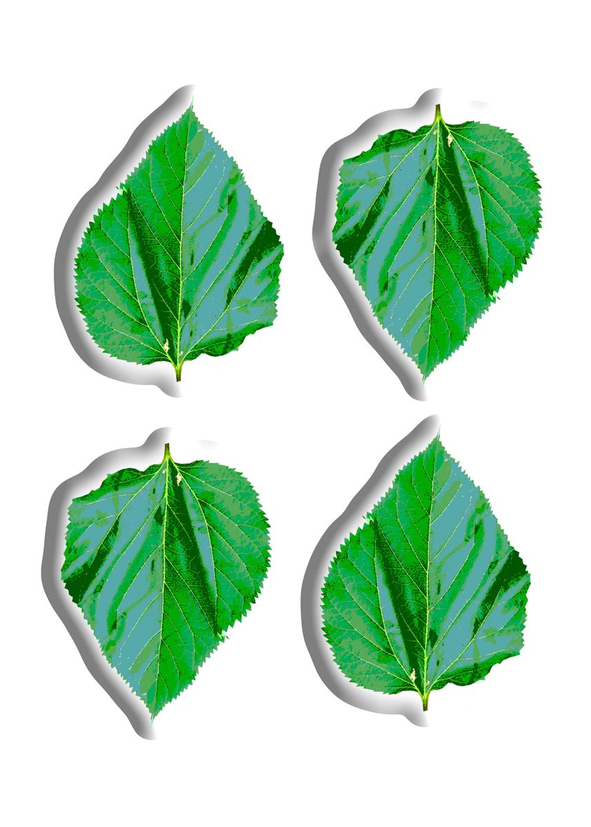 'Four Green Leaf' Poster, picture, metal print, paint by Archist Design ...