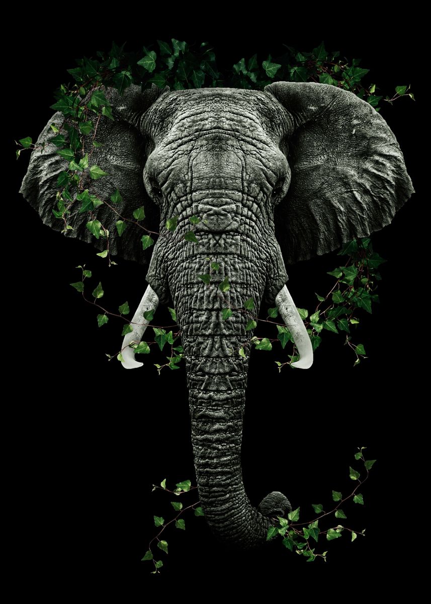 'the father of the nature' Poster, picture, metal print, paint by mk ...