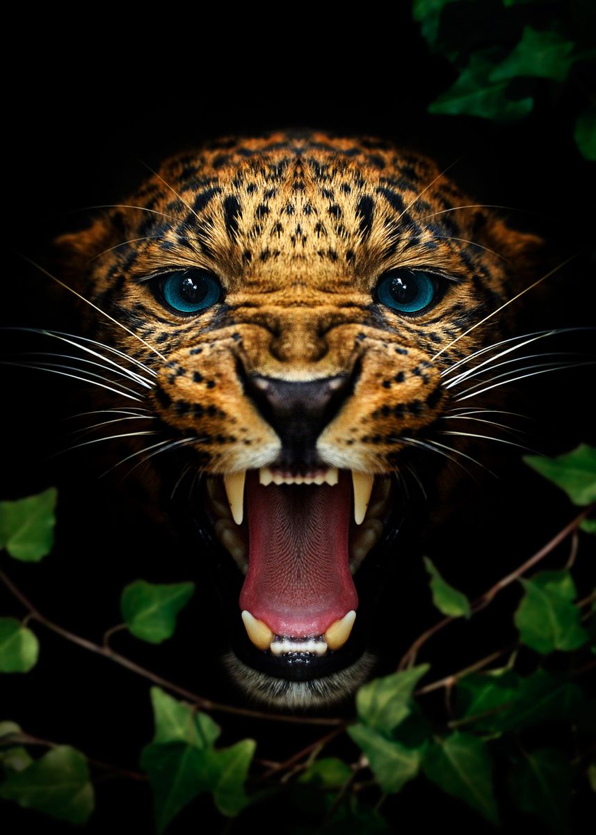 'the beast of the nature' Poster, picture, metal print, paint by mk ...