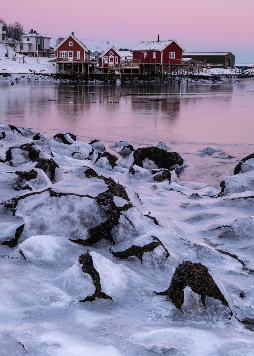 'Red Cabins in Reine' Poster by Ali A | Displate