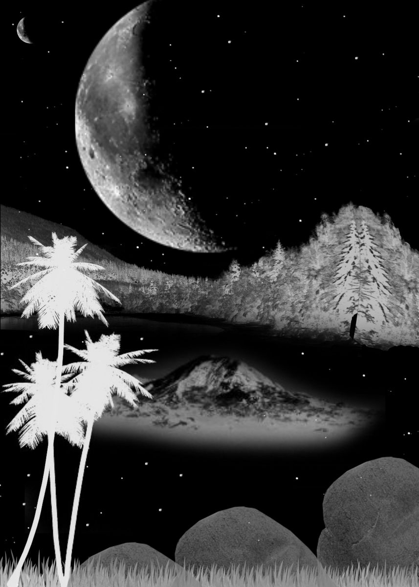 'Beautiful Night' Poster, picture, metal print, paint by Randy Chua ...