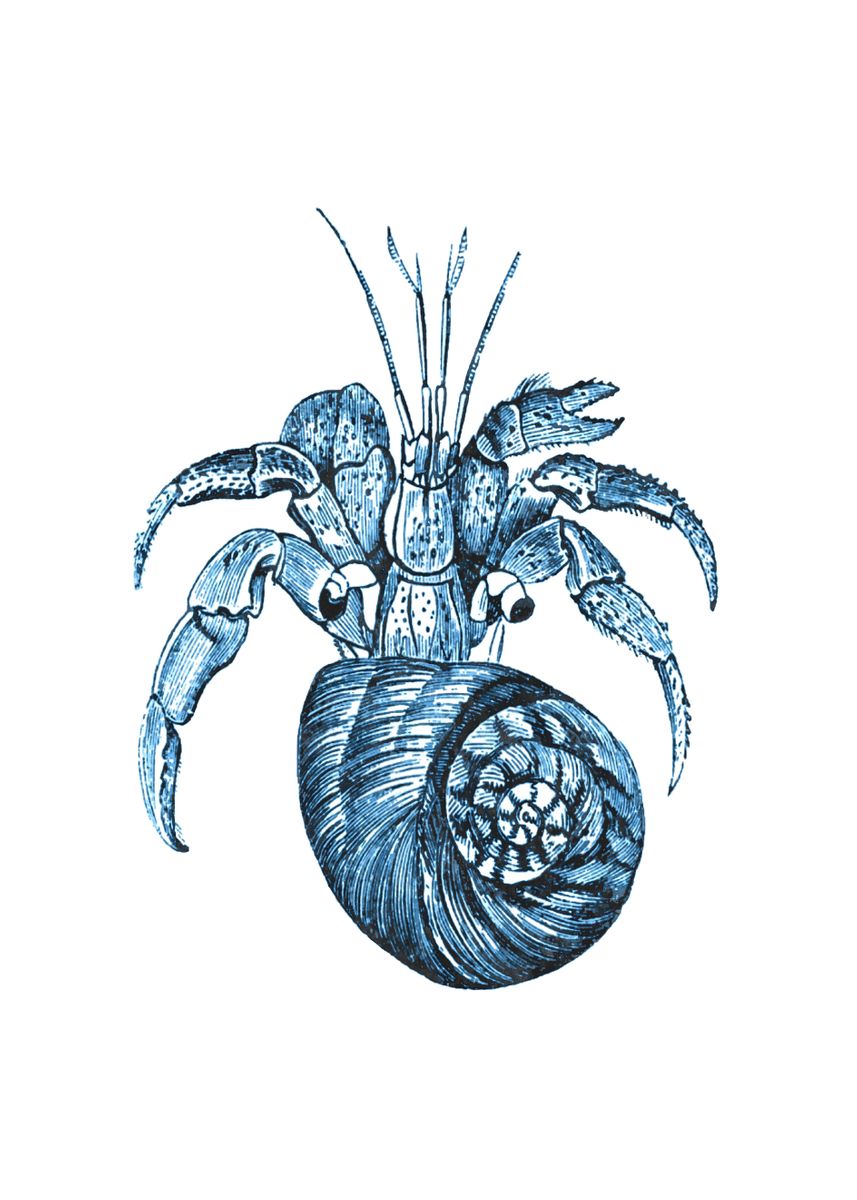 'Blue Shellfish' Poster, picture, metal print, paint by Alemi Prints ...