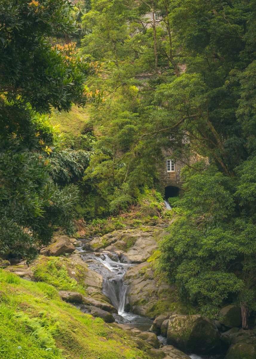 'Amongst the Trees' Poster, picture, metal print, paint by Scott ...