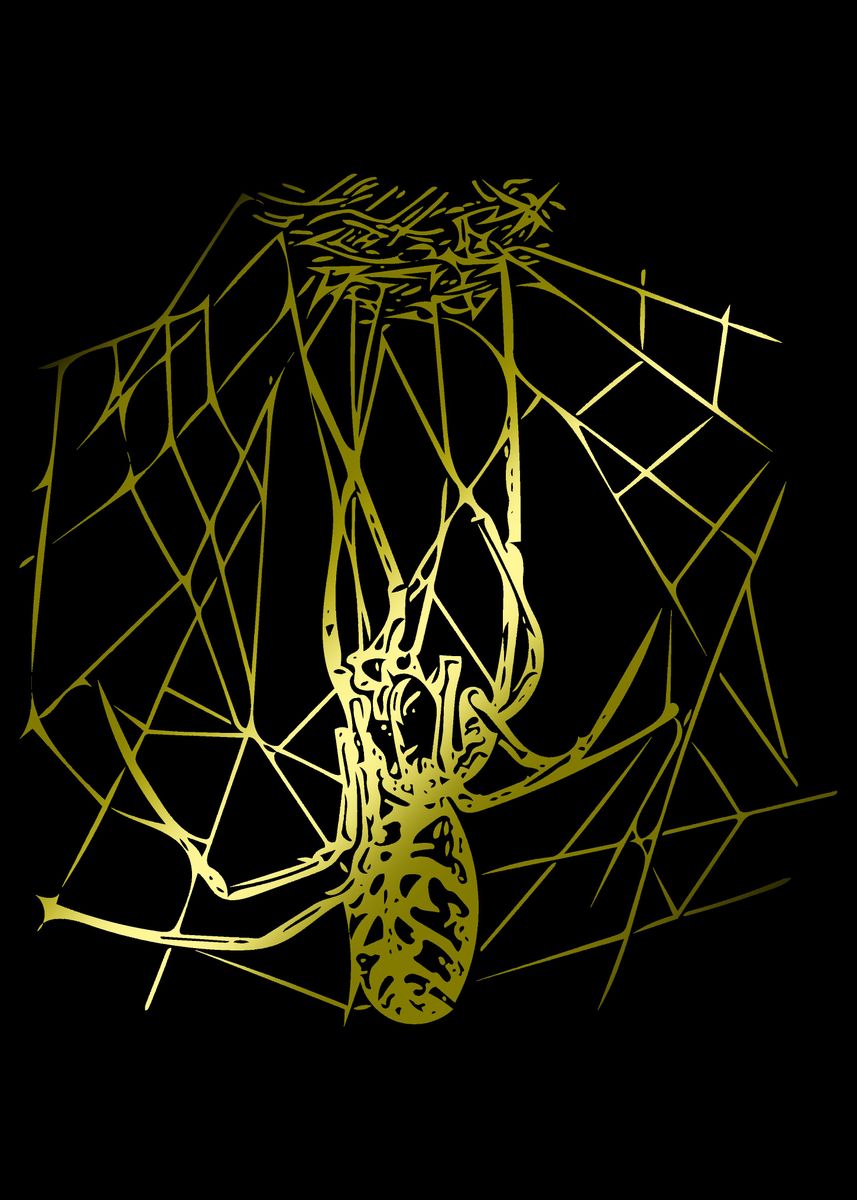 'Spider and Web' Poster, picture, metal print, paint by RD | Displate