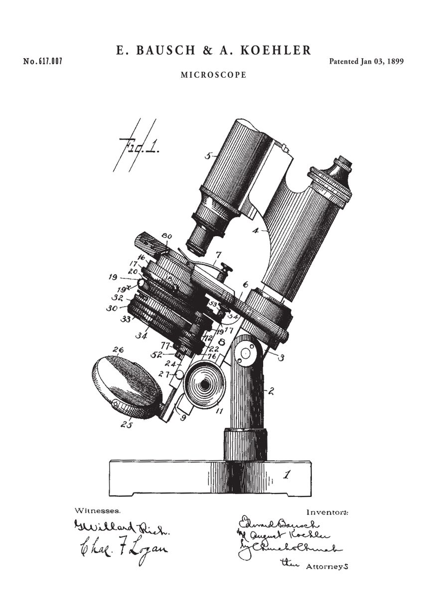 'Microscope Patent 2 white' Poster, picture, metal print, paint by ...