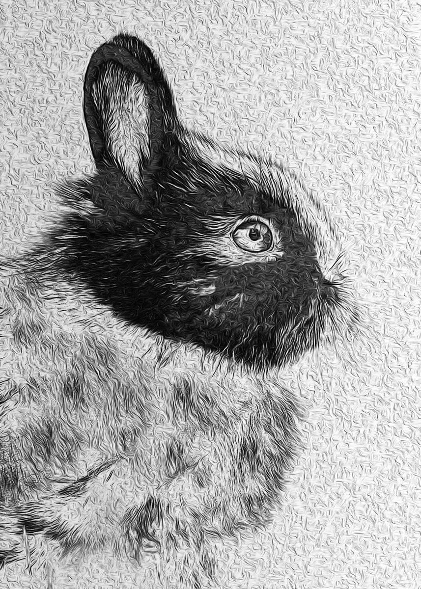 'Rabbit High Contrast' Poster, picture, metal print, paint by rene ...