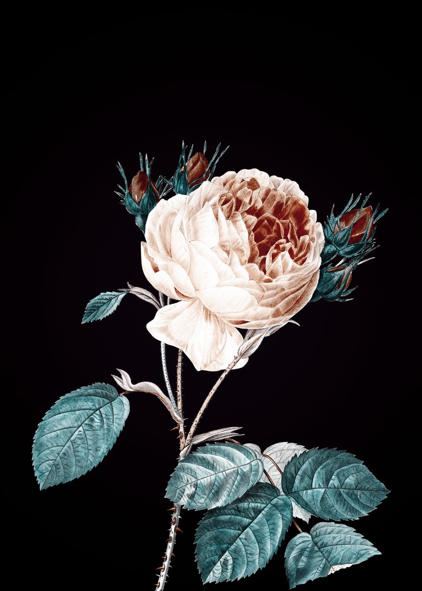 'Bleached Vintage Roses' Poster, picture, metal print, paint by Holy ...
