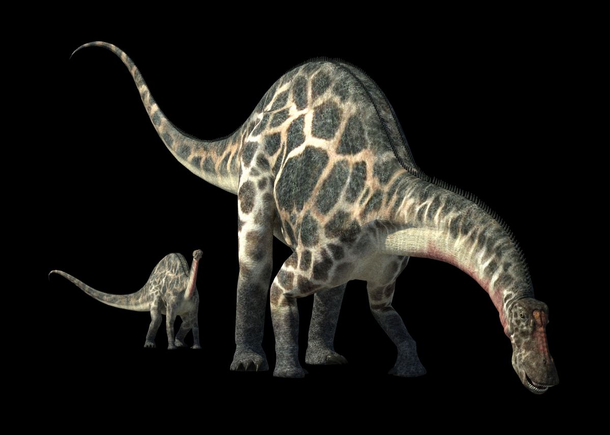 'Dicraeosaurus Dinosaurs' Poster by Bill Boehm | Displate