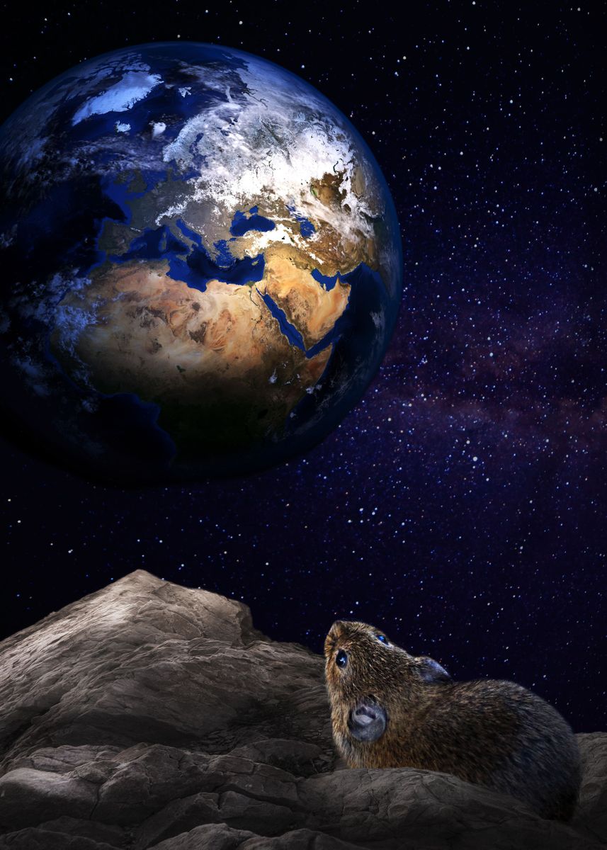 'Mouse on the moon' Poster by Giulia Benacci | Displate