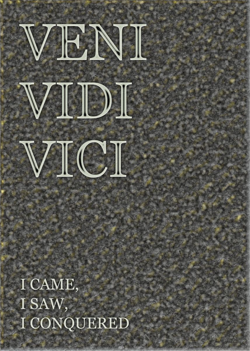 'I Came I Saw I Conquered' Poster by Josh B | Displate