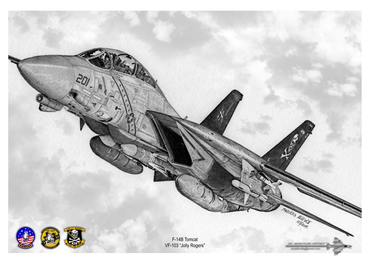 'F14 Tomcat VF103 ' Poster by Marcelo Allende | Displate