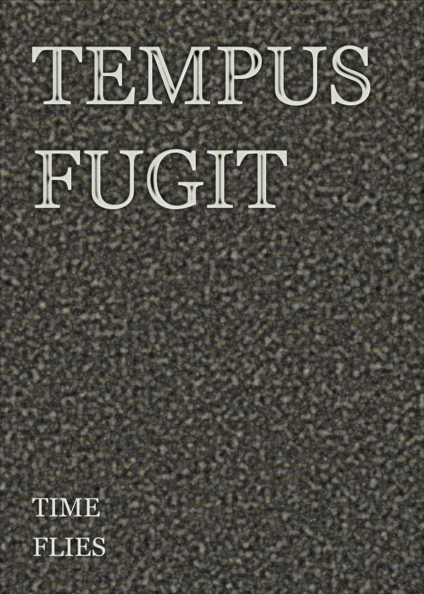 'TIme Flies' Poster, picture, metal print, paint by Creatify Publishing ...