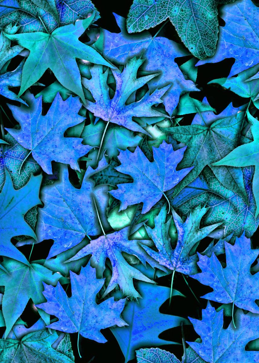 'Fall Leaves in Blue' Poster, picture, metal print, paint by Cindy Boyd ...