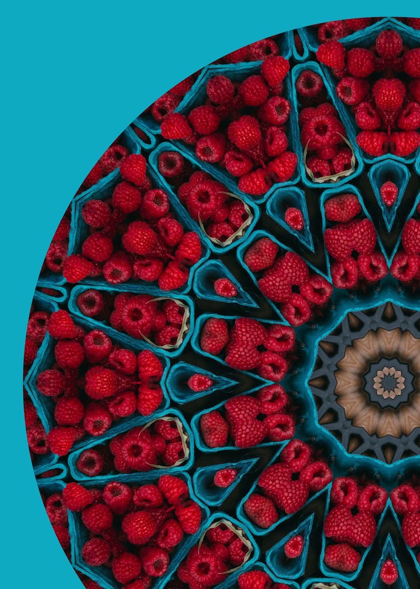 'Raspberry Mandala' Poster, picture, metal print, paint by Teresita ...