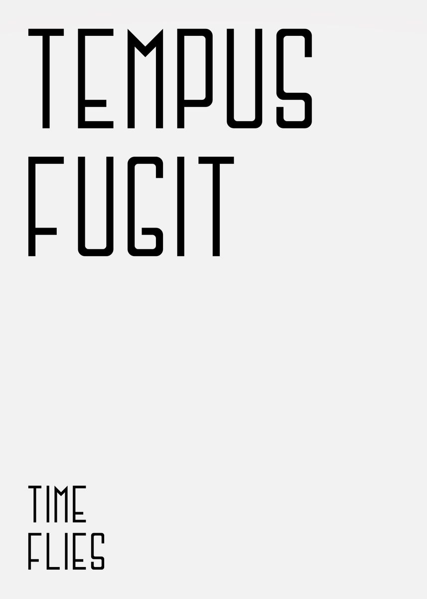 'Time Flies' Poster, picture, metal print, paint by Josh B | Displate