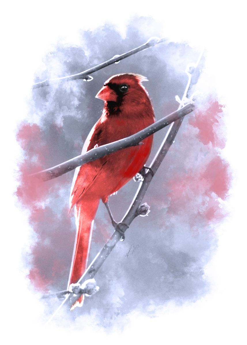 'Cardinal' Poster by Brian Scutt | Displate