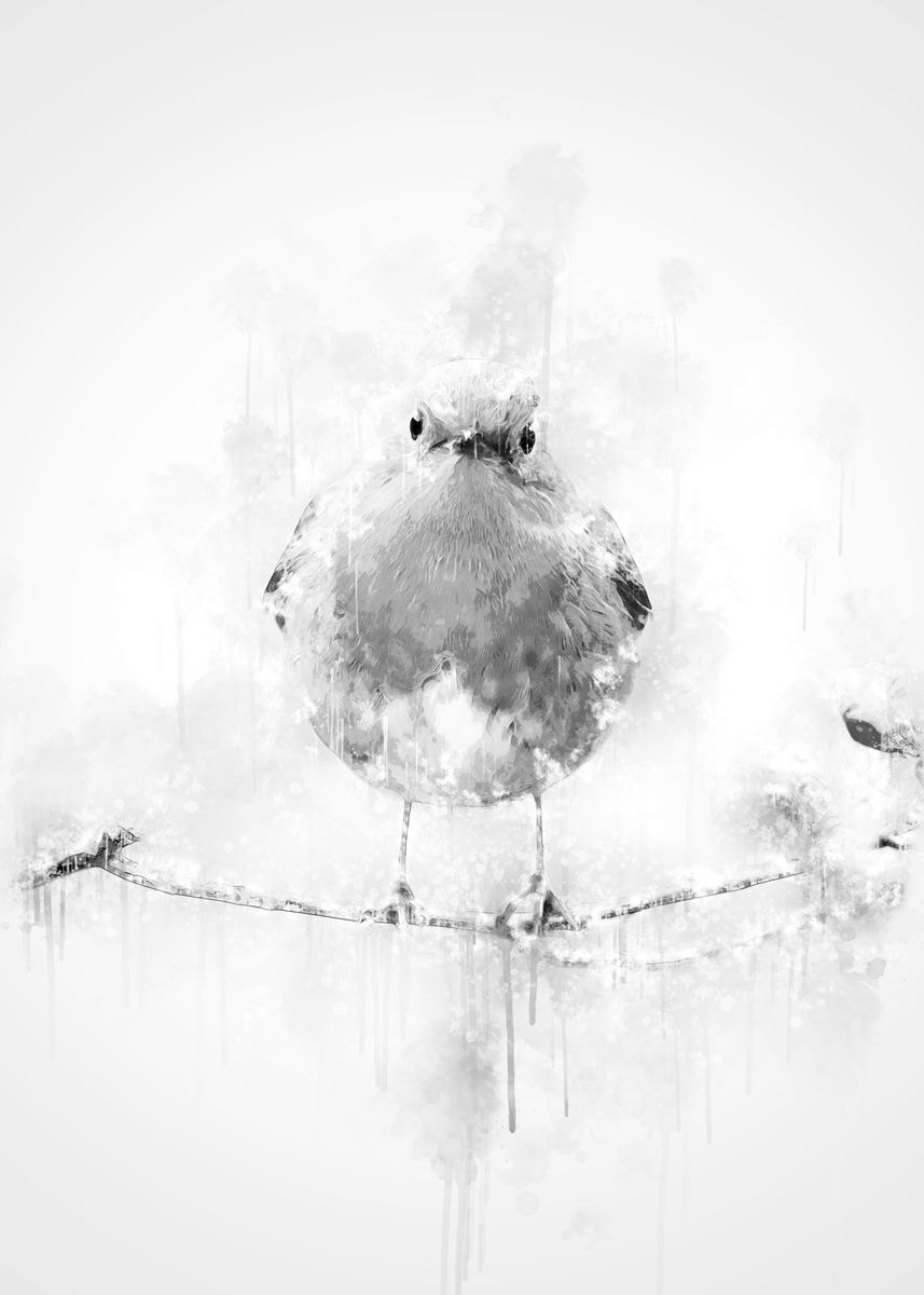 'Robin Black and White' Poster by Cornel Vlad | Displate