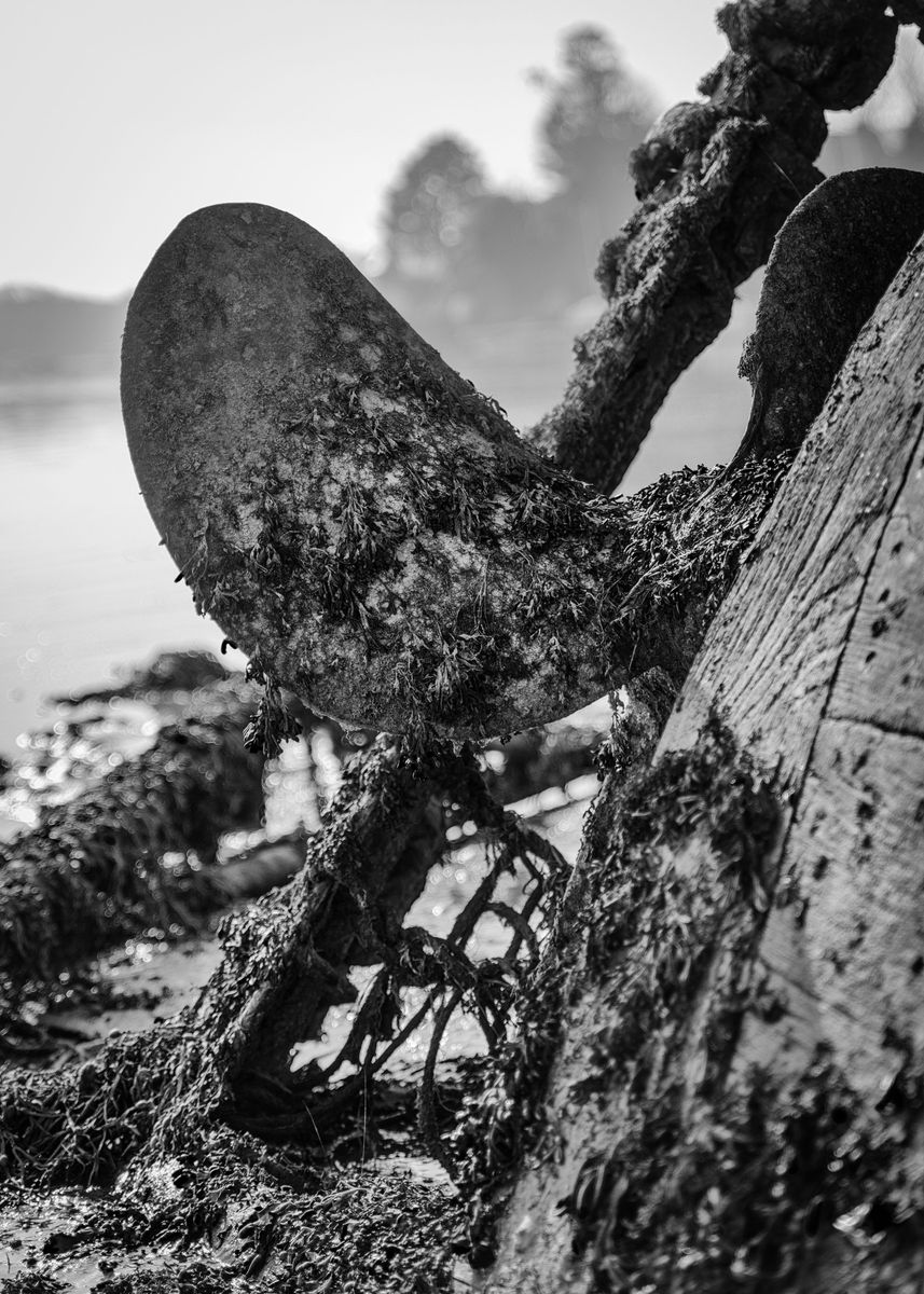 'Stuck' Poster, picture, metal print, paint by Olek | Displate