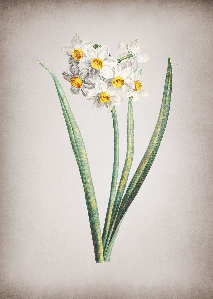 'Vintage Easter Flower' Poster, picture, metal print, paint by Holy ...