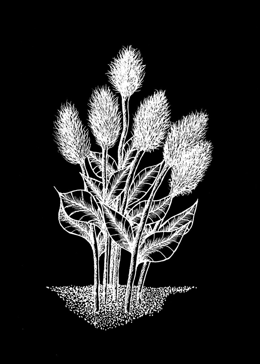 'Furry Flowers' Poster, picture, metal print, paint by Marilyn Lowe ...