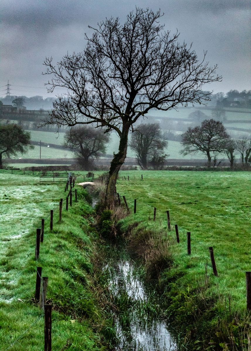 'Moody Spring Morning' Poster, picture, metal print, paint by Richie ...