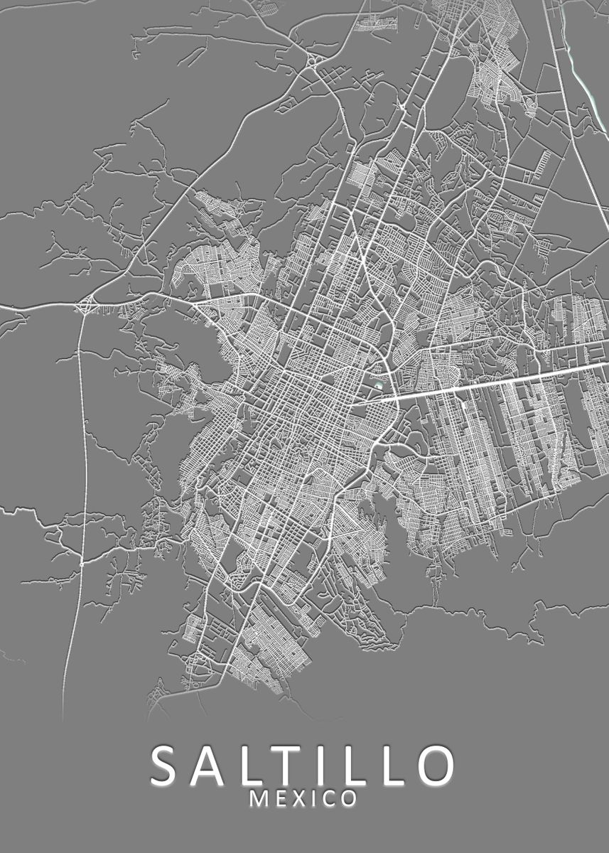'Saltillo Mexico City Map' Poster, picture, metal print, paint by City ...