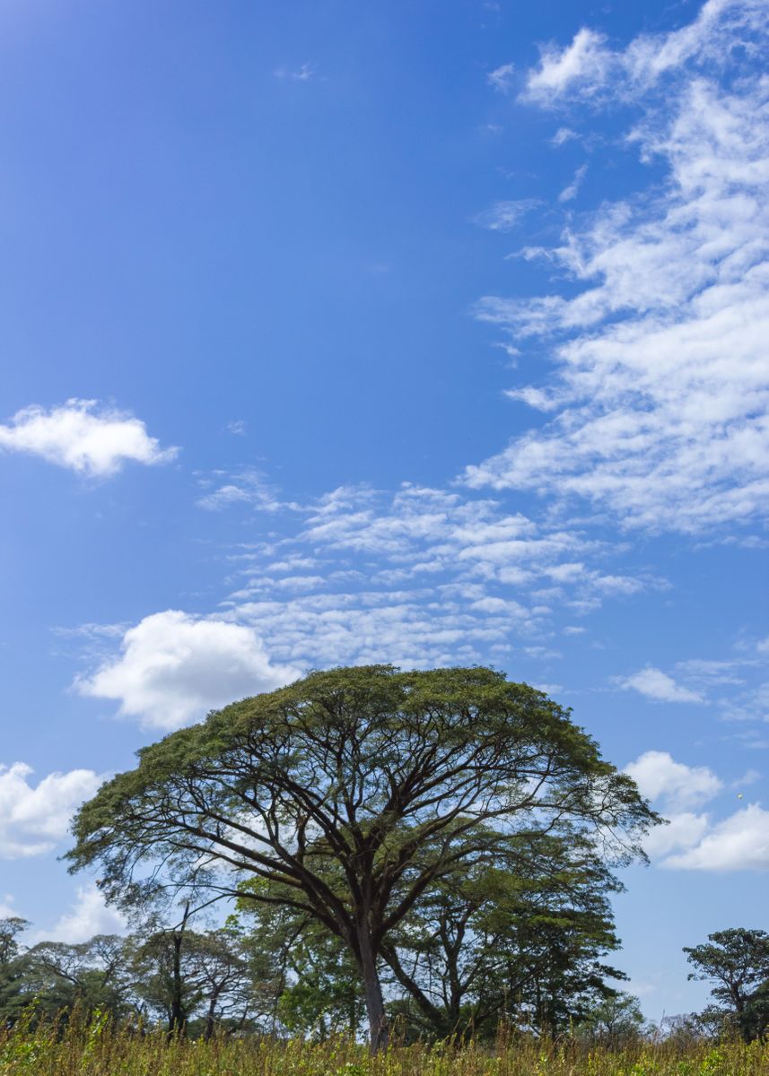 'beautiful landscape ' Poster by eric leroux | Displate
