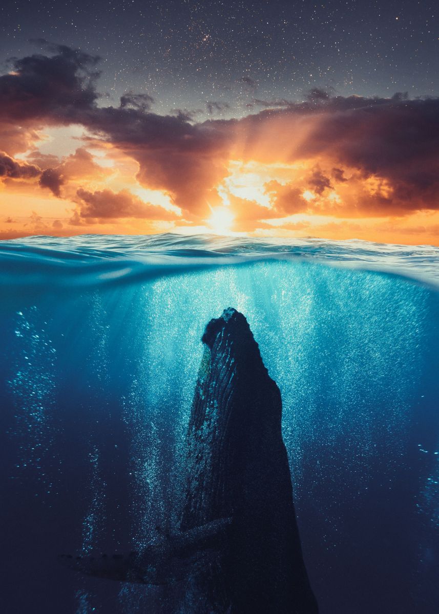 'Bleu' Poster, picture, metal print, paint by SUBLIMENATION | Displate