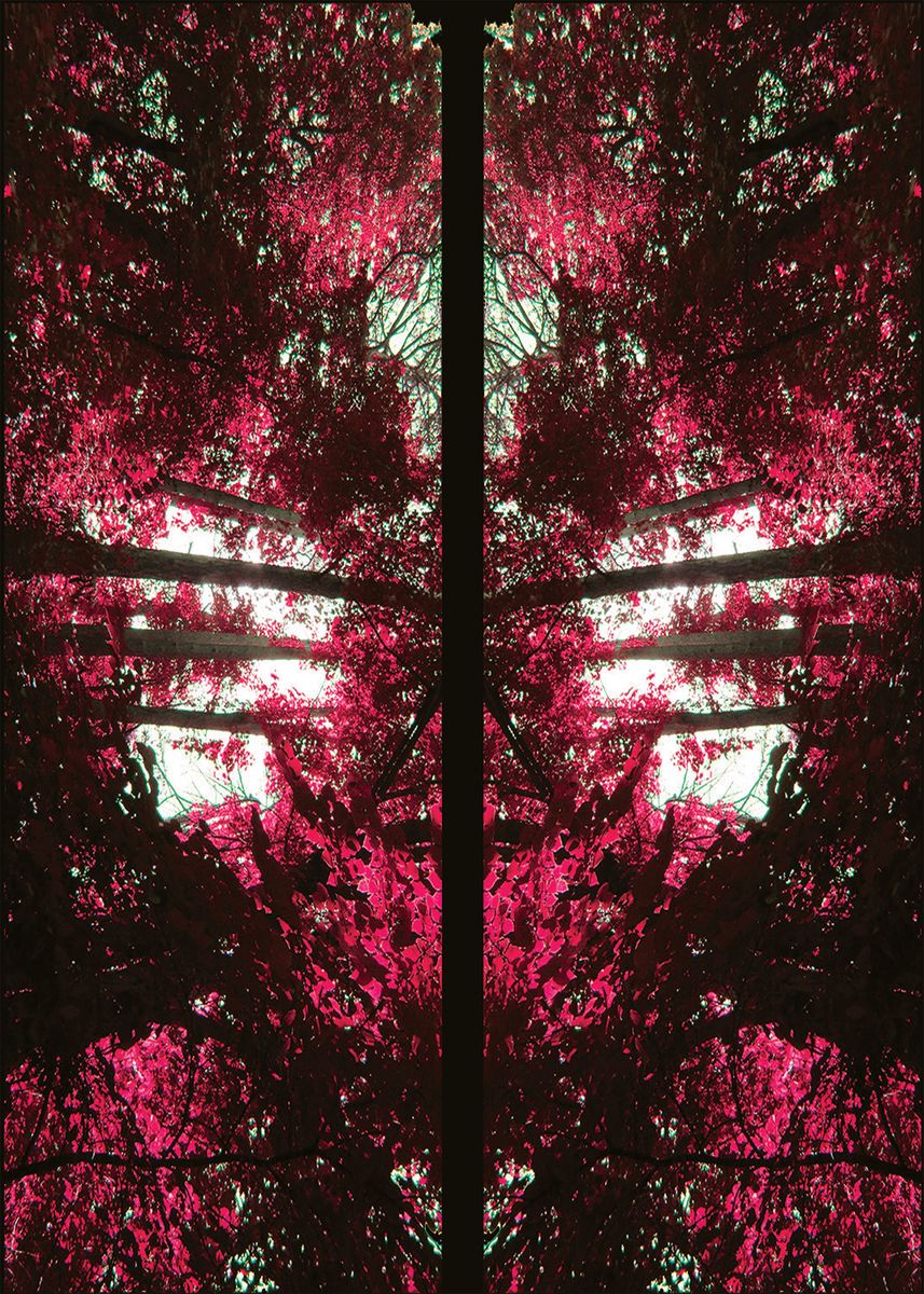 'Sun through the Trees' Poster, picture, metal print, paint by Aaron ...