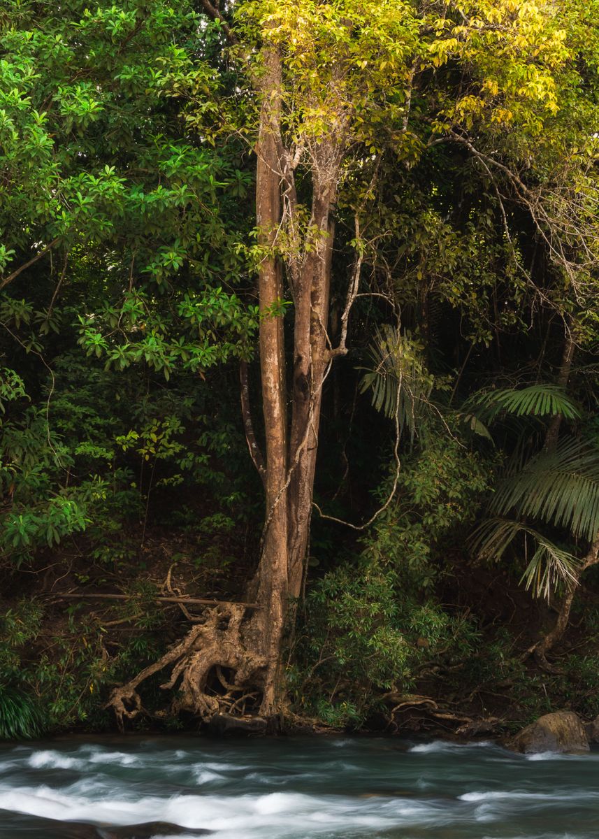 'Lubuk Yu VI' Poster, picture, metal print, paint by Syed Hafeez | Displate