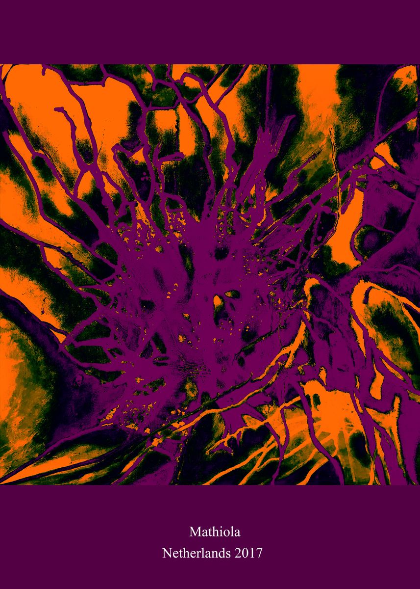 'Mathiola' Poster, picture, metal print, paint by A Shukry | Displate