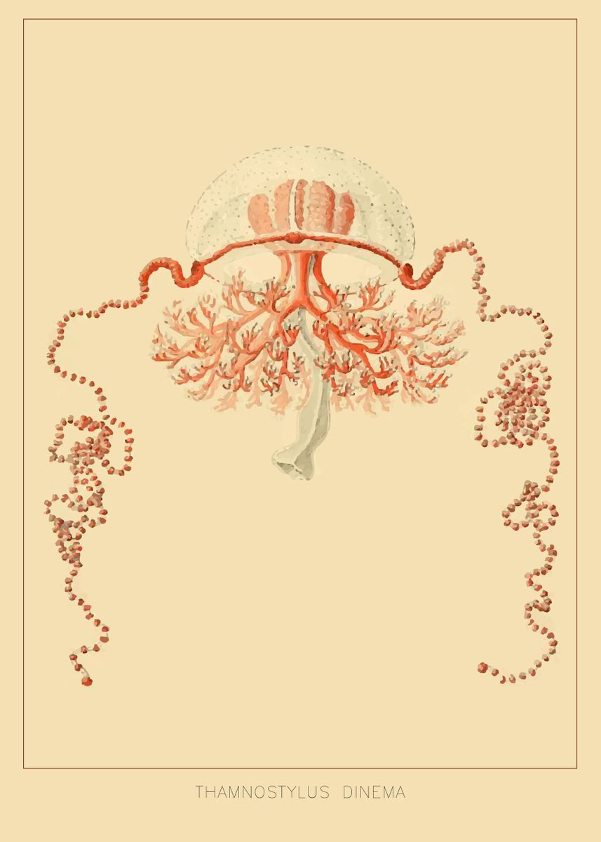 'THAMNOSTYLUS DINEMA' Poster by Wael Daaboul | Displate