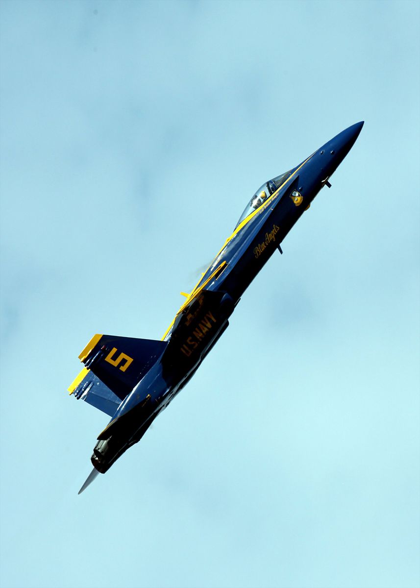'Blue Angels' Poster, picture, metal print, paint by Conceptual ...