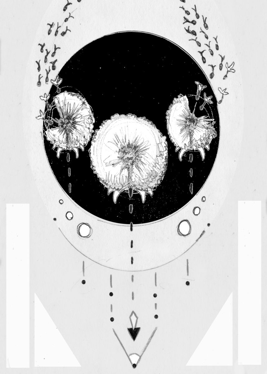 'Dandelion Grey' Poster, picture, metal print, paint by Artimis Studio ...