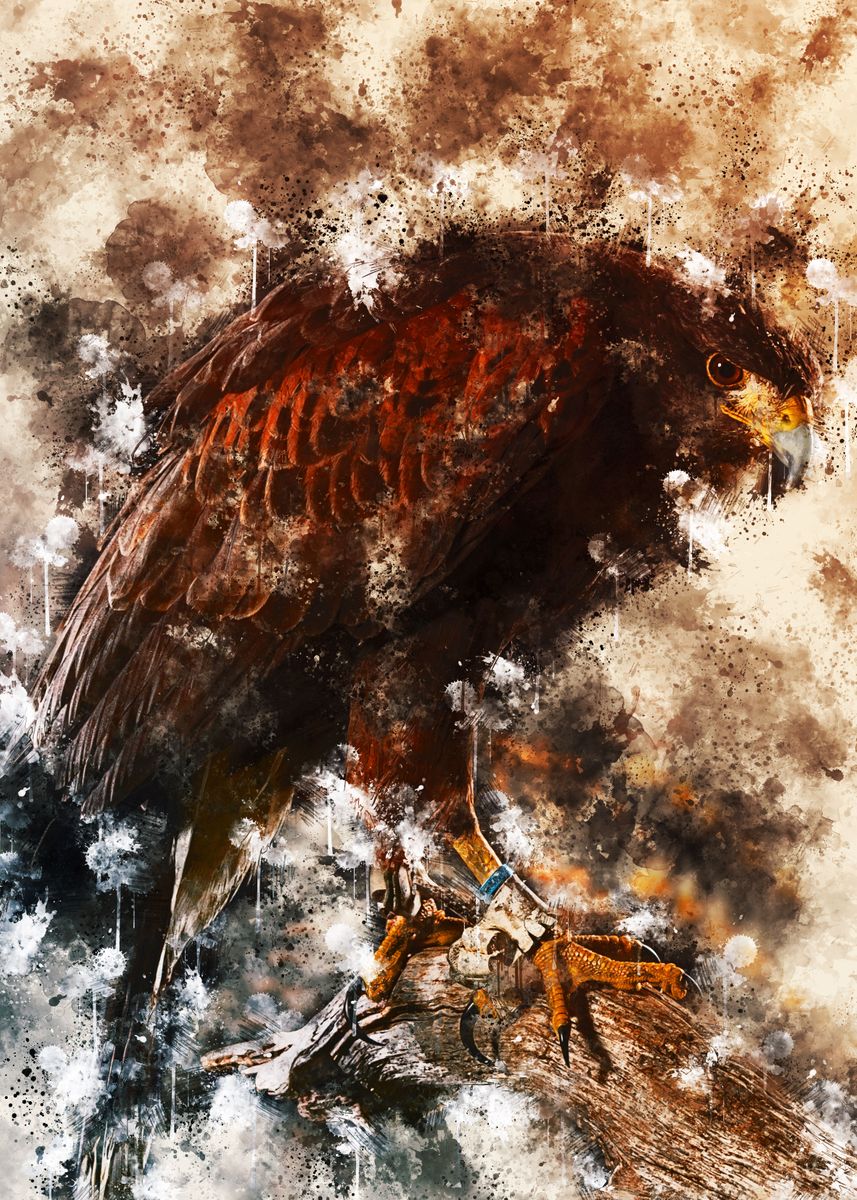'Hawk' Poster, picture, metal print, paint by VM Designs | Displate