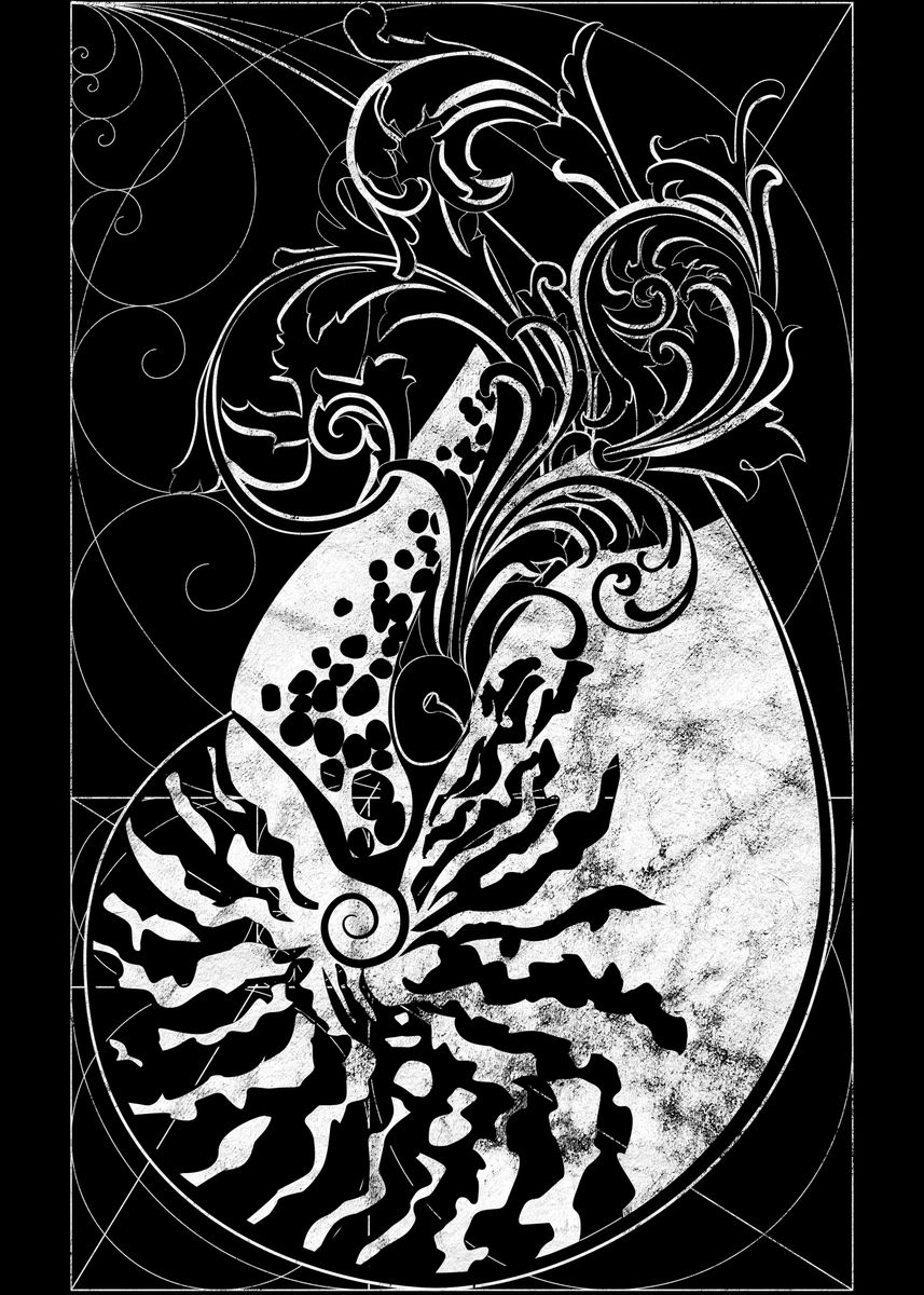 'Nautilus' Poster by Elizabeth Ford | Displate