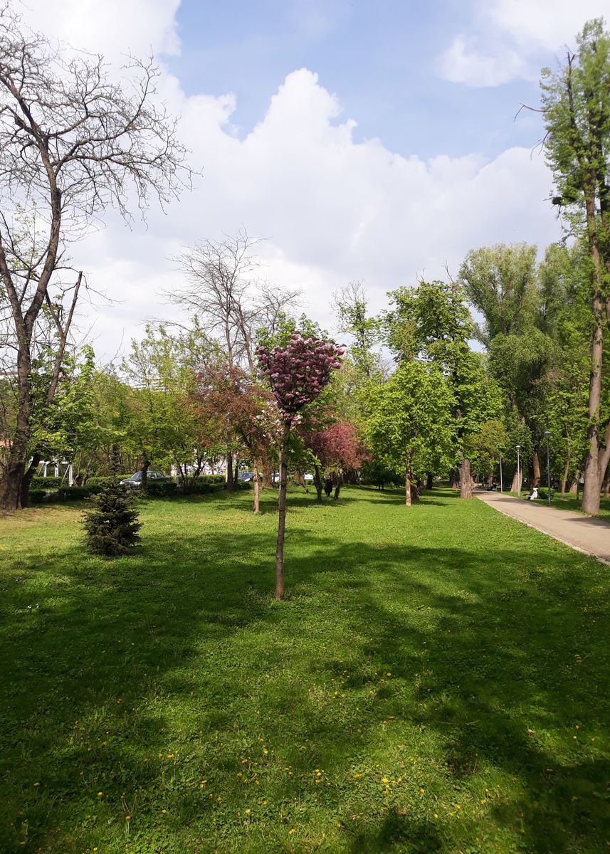 'Park perspective' Poster, picture, metal print, paint by Edy Art Space ...