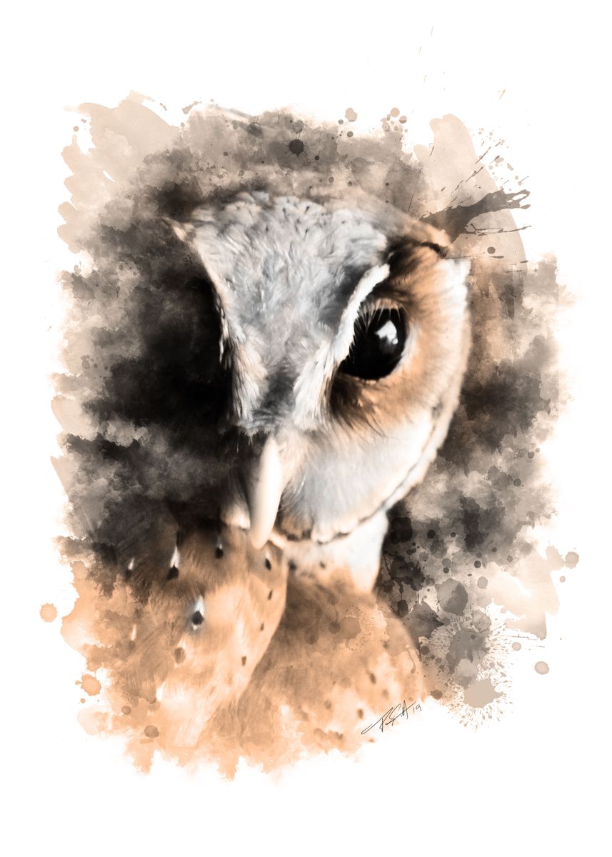 'The Owl' Poster, picture, metal print, paint by Brian Scutt | Displate