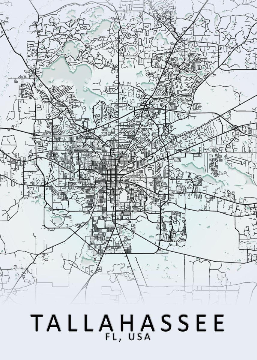 'Tallahassee USA City Map' Poster, picture, metal print, paint by City ...