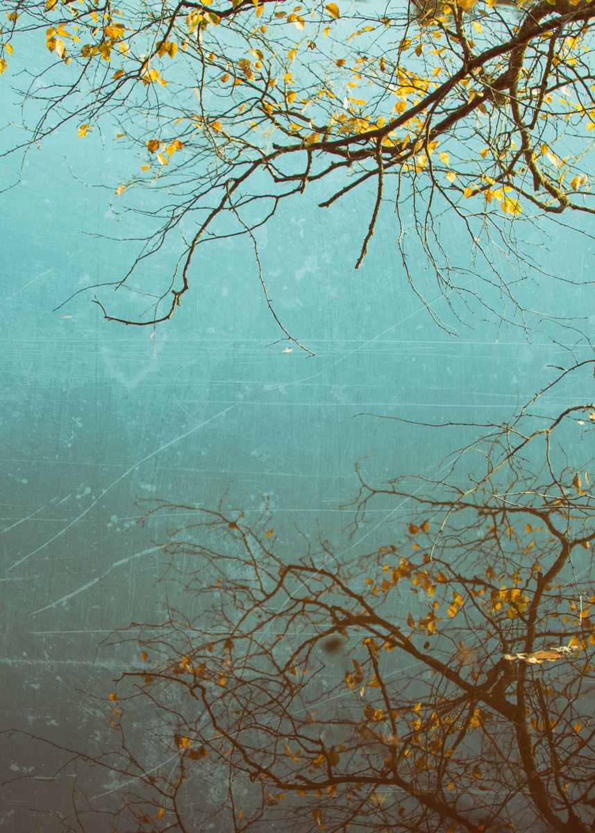 'The mirrored tree' Poster, picture, metal print, paint by Andrea ...