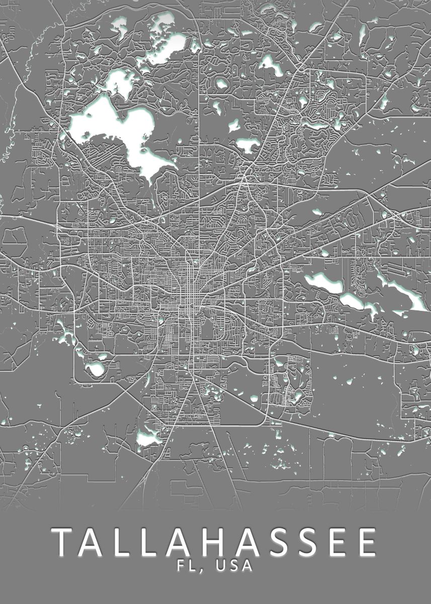 'Tallahassee USA City Map' Poster, picture, metal print, paint by City ...