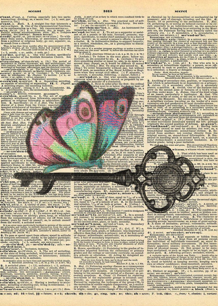 'Butterfly with Key on Dict' Poster by Aloke Design | Displate