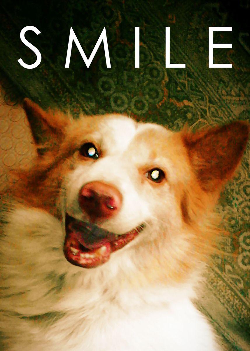 'Keep Smiling' Poster, picture, metal print, paint by bashfulmanman ...