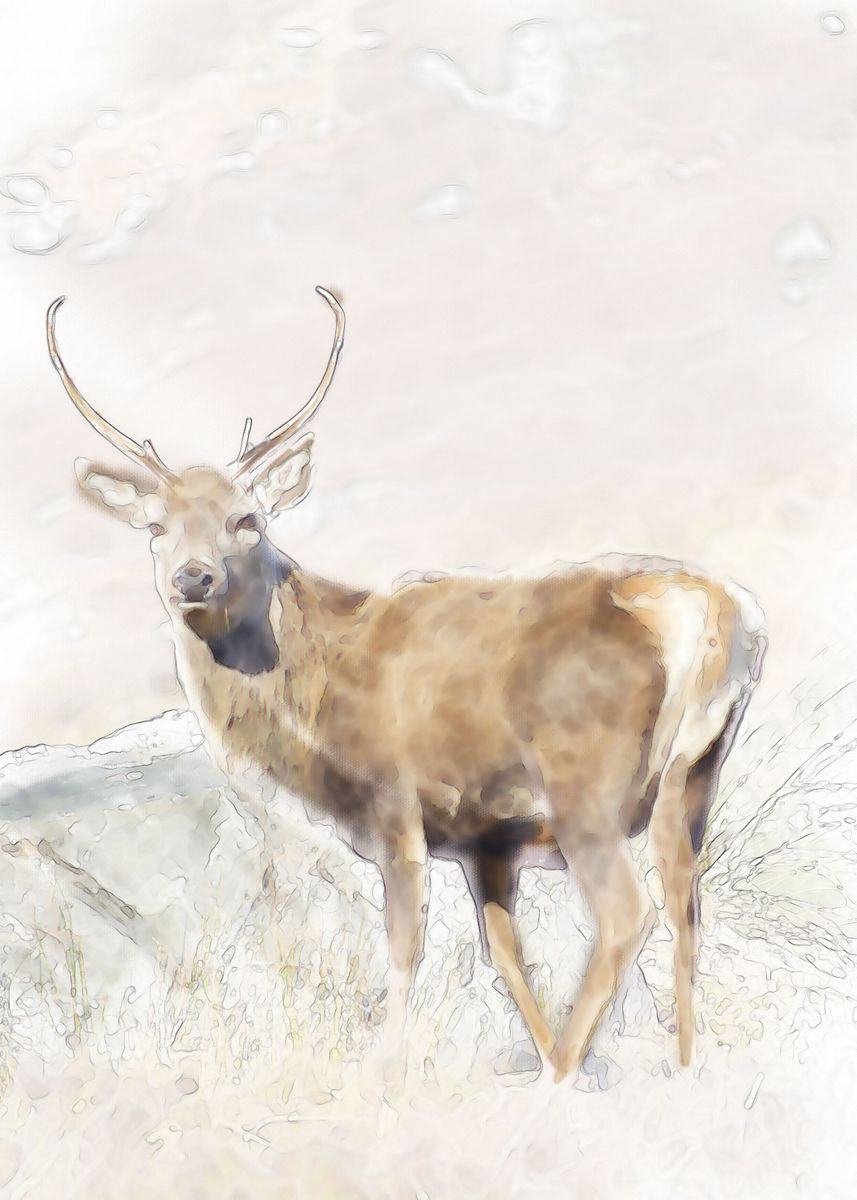 'Watercoloured Stag' Poster, picture, metal print, paint by Daniel ...