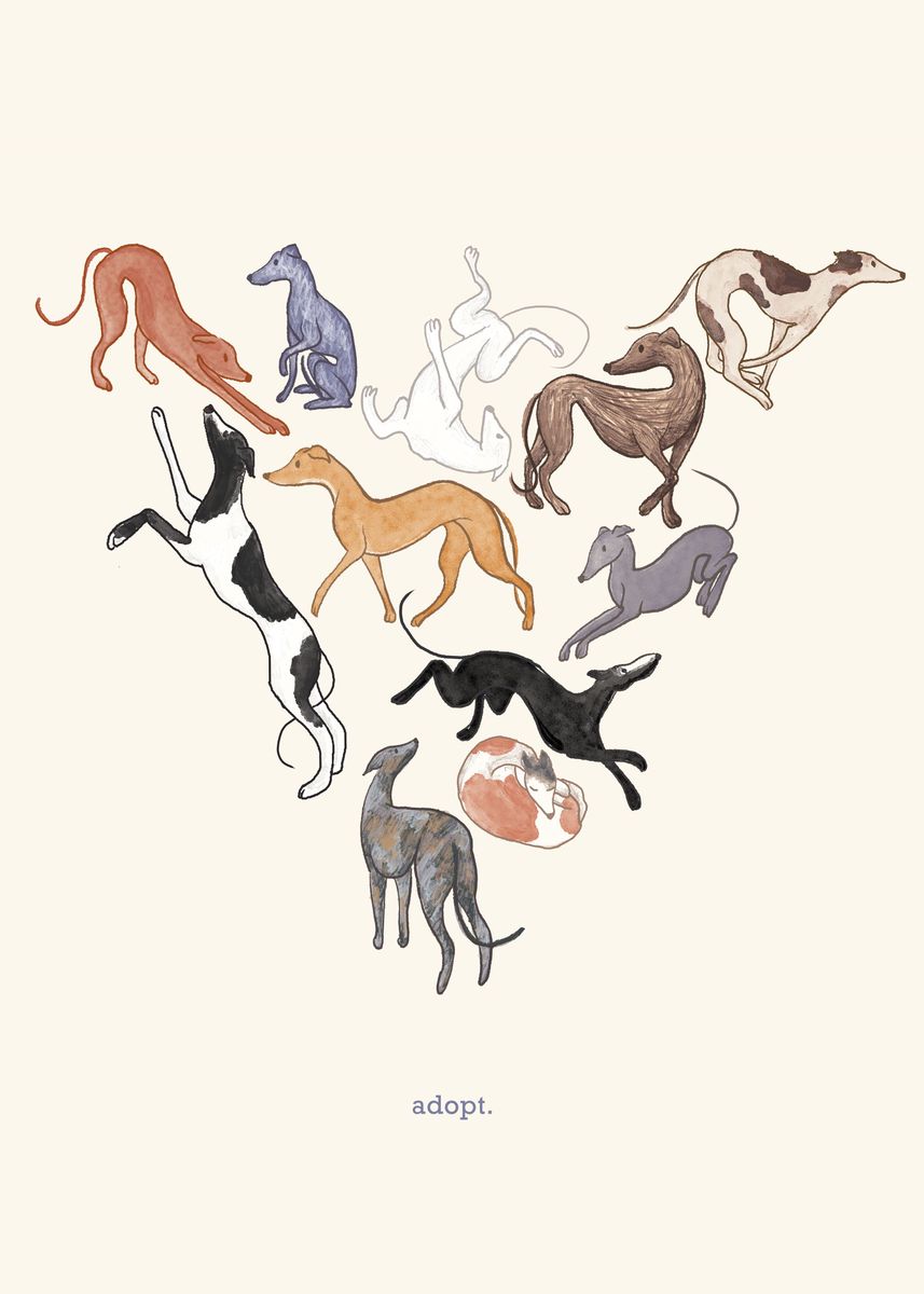 'Adopt Retired Greyhounds ' Poster, picture, metal print, paint by Tina ...